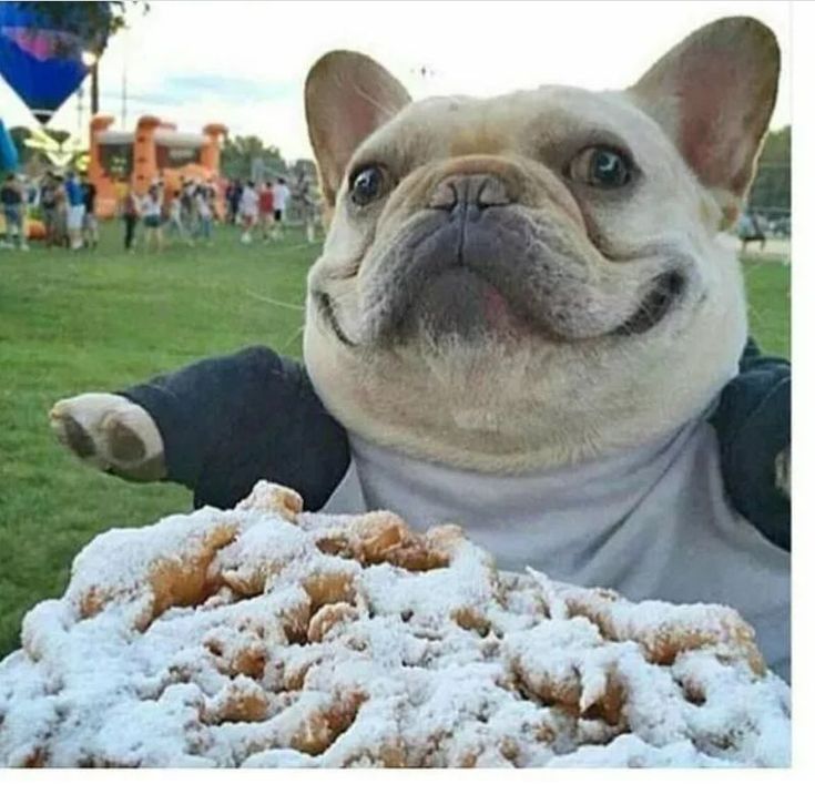 VAIL - Team - VR Master League - Esports