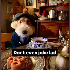 Orion Drift - Player Profile - VR Master League - Esports